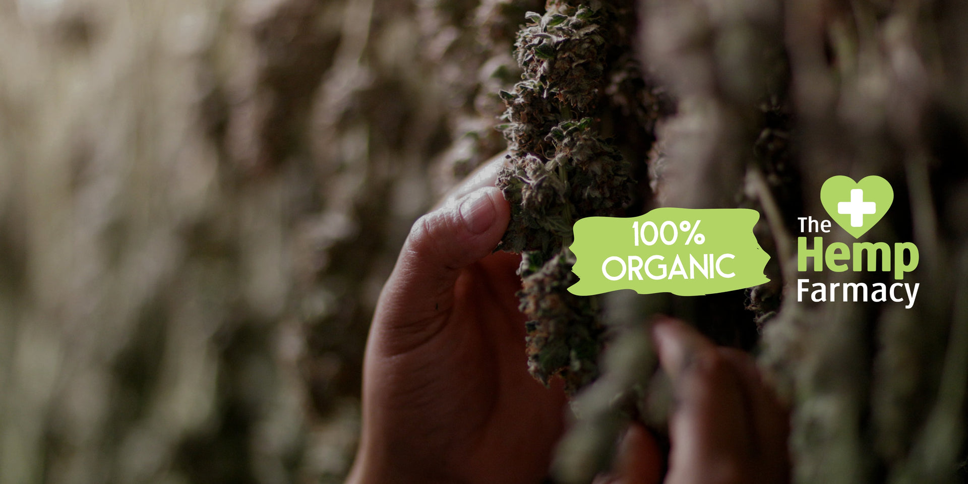 The Hemp Farmacy - THCa Delta 9 Delta 8 CBD | Wilmington NC